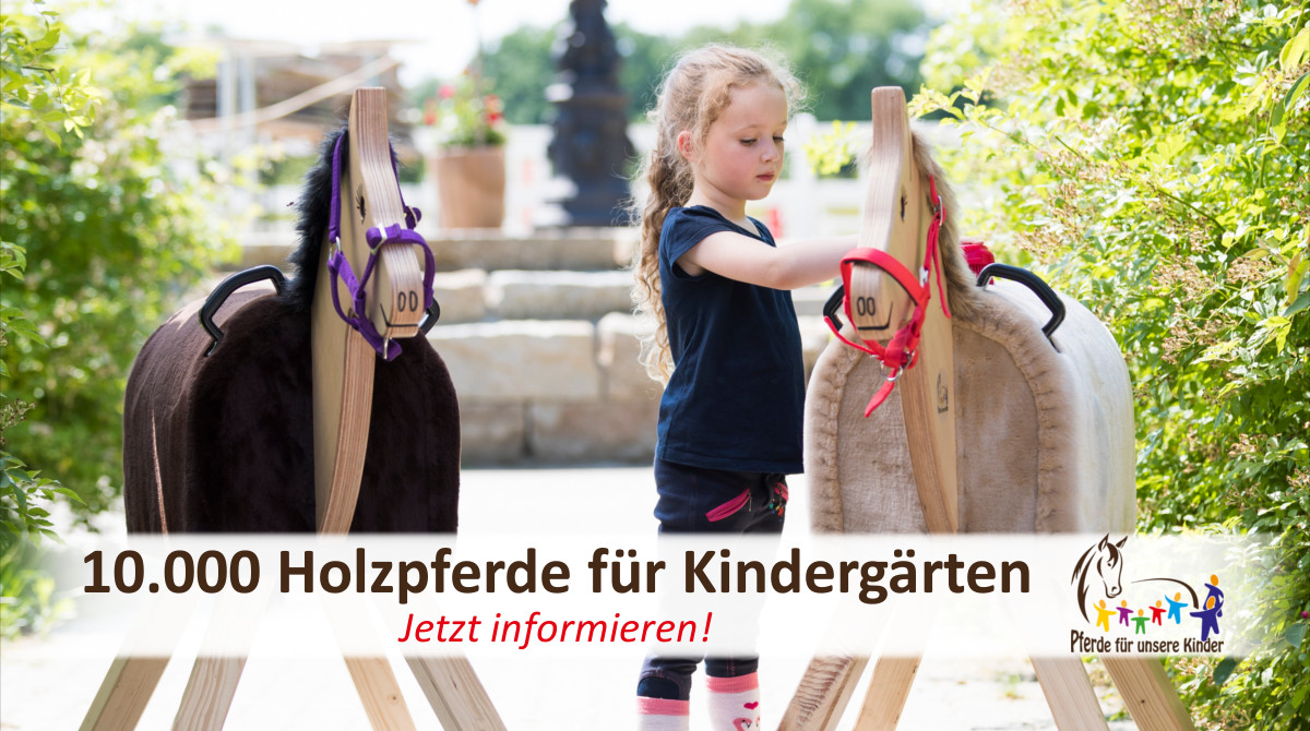 Unsere Projekte | Pferde für unsere Kinder e.V.